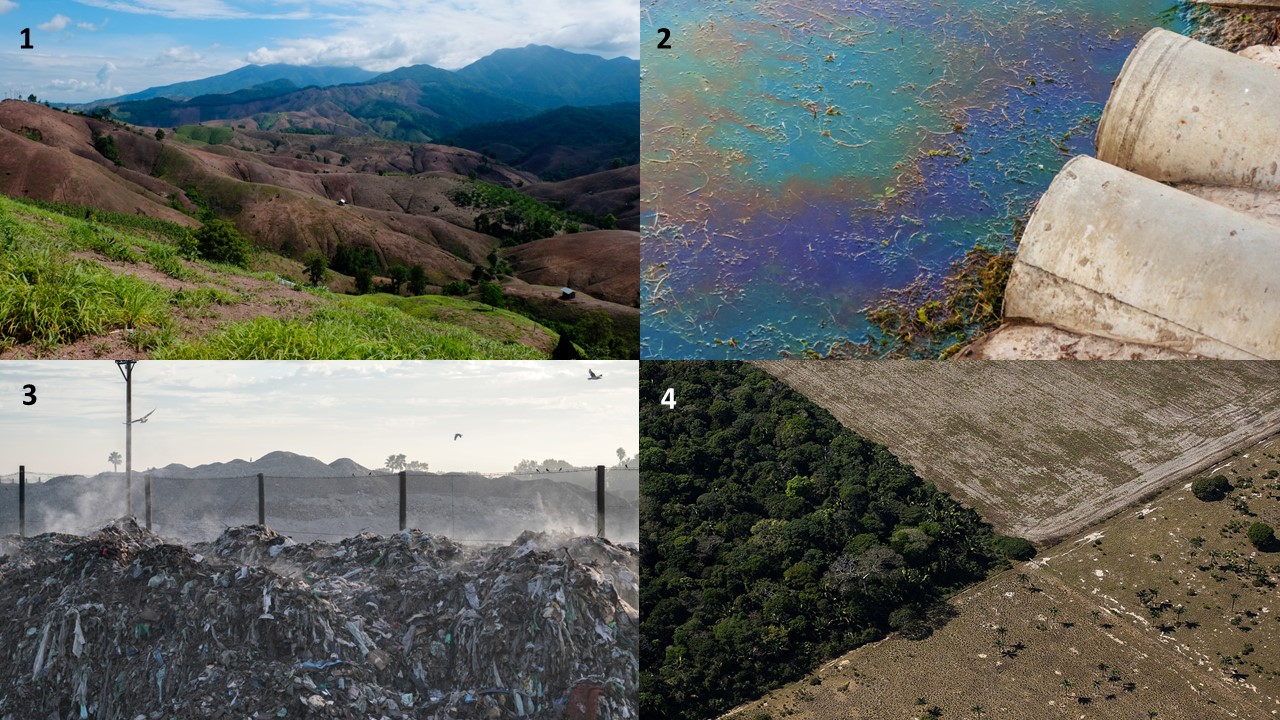 Biodiversity Prioritisation in Textile, Apparel, and Fashion: a short ...